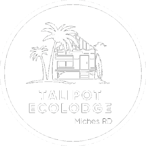 Inicio - Talipot Ecolodge en Miches
